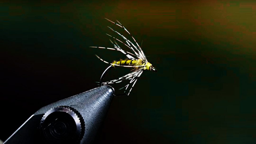 The Magic of Wet Flies (Fly Fishing Guide) - Guide Recommended