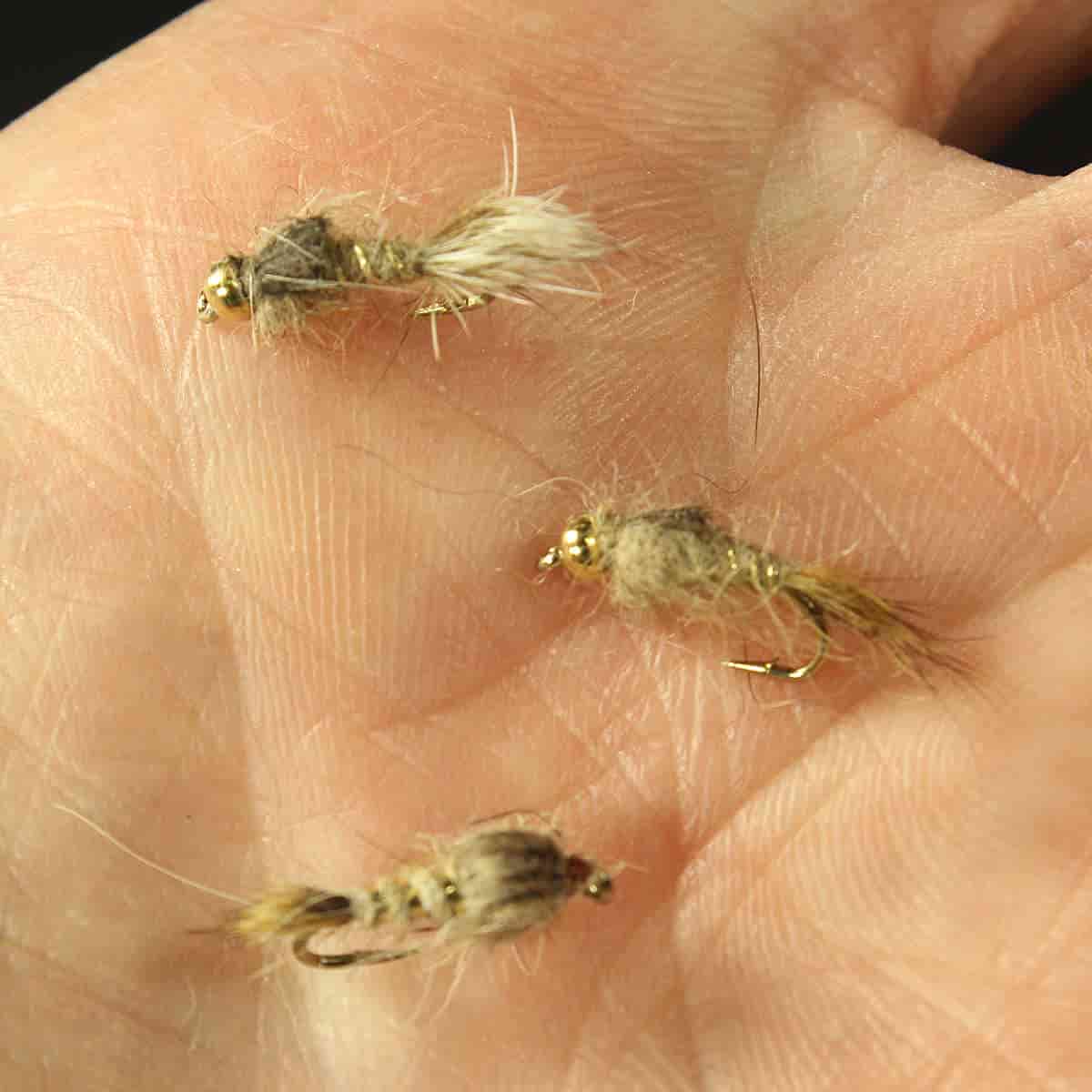 5 Favorite Fly Patterns for Lakes (Rainbow and Lake Trout) - Guide ...
