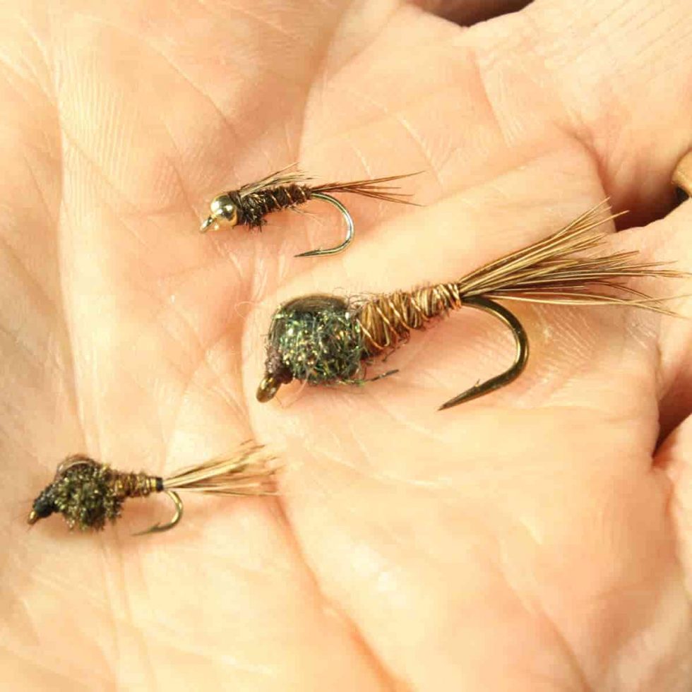 15 Best Flies for Rainbow Trout (with videos to setup) - Guide Recommended