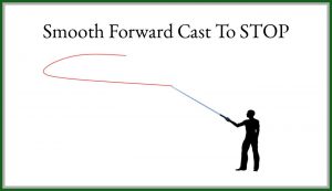 Mastering the Roll Cast with a Fly Rod (Illustrations & Video) - Guide ...