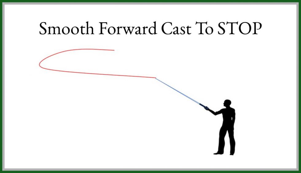 Mastering the Roll Cast with a Fly Rod (Illustrations & Video) - Guide ...