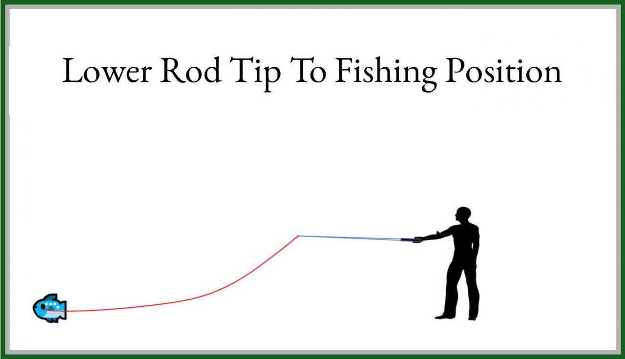 Mastering the Roll Cast with a Fly Rod (Illustrations & Video) - Guide ...
