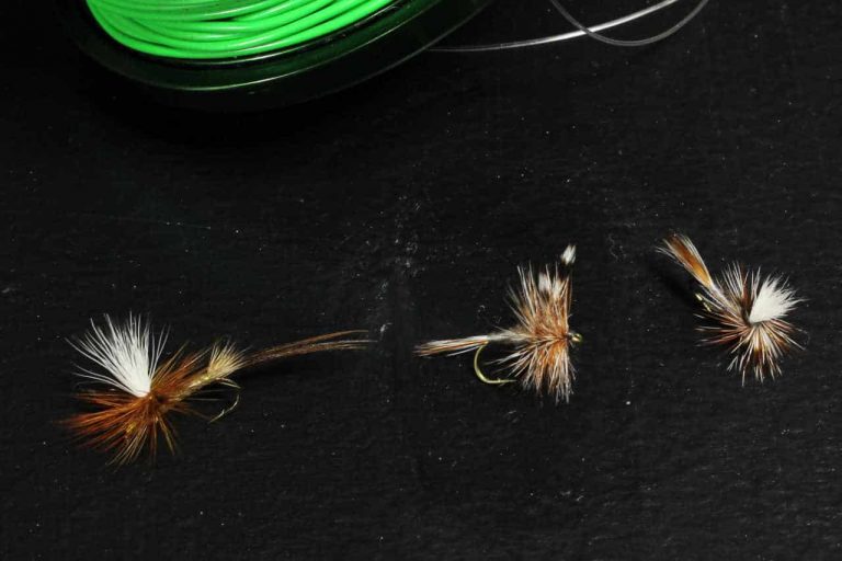 The Best Flies for Panfish (How to Fish and Tie) - Guide Recommended