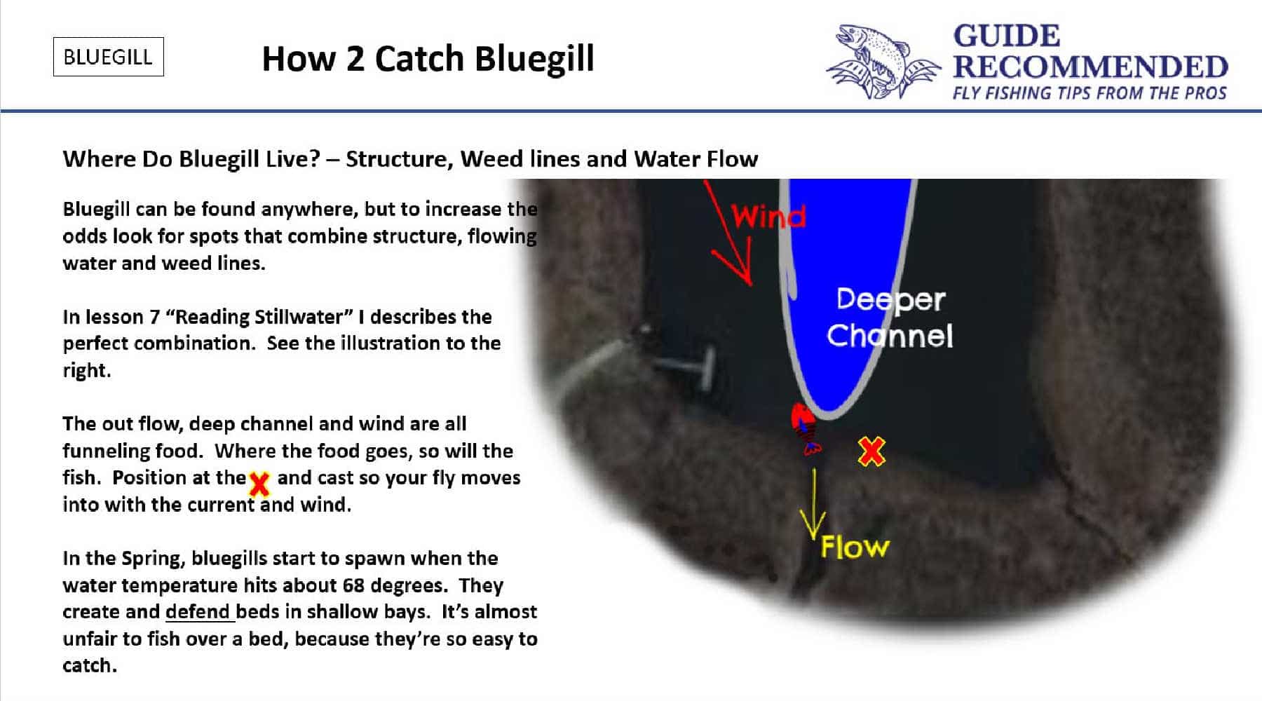 The Best Flies for Panfish (How to Fish and Tie) - Guide Recommended