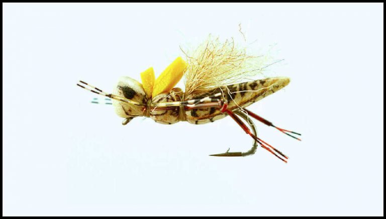 Fly Fishing with Hoppers (Tips, Tricks and a Quick Tie) - Guide Recommended