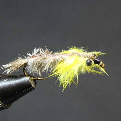 How To Fly Fish in the Winter (Flies, Setup and More) - Guide Recommended