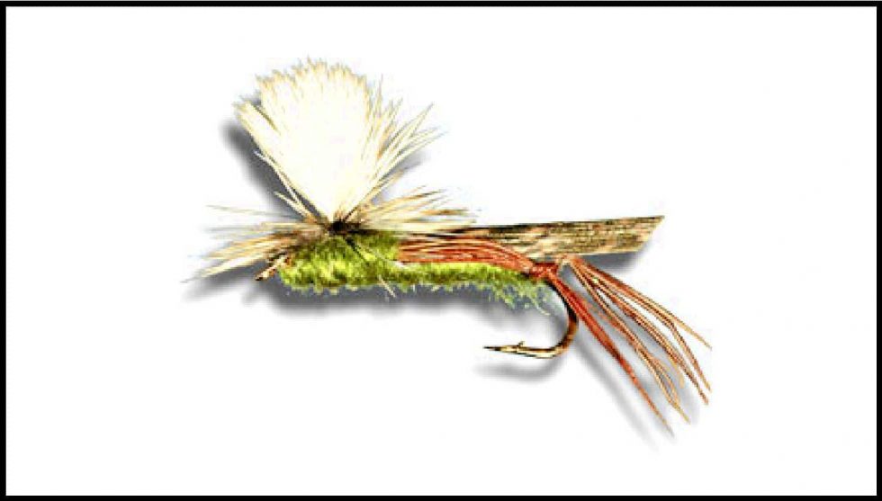 Fly Fishing with Hoppers (Tips, Tricks and a Quick Tie) - Guide Recommended