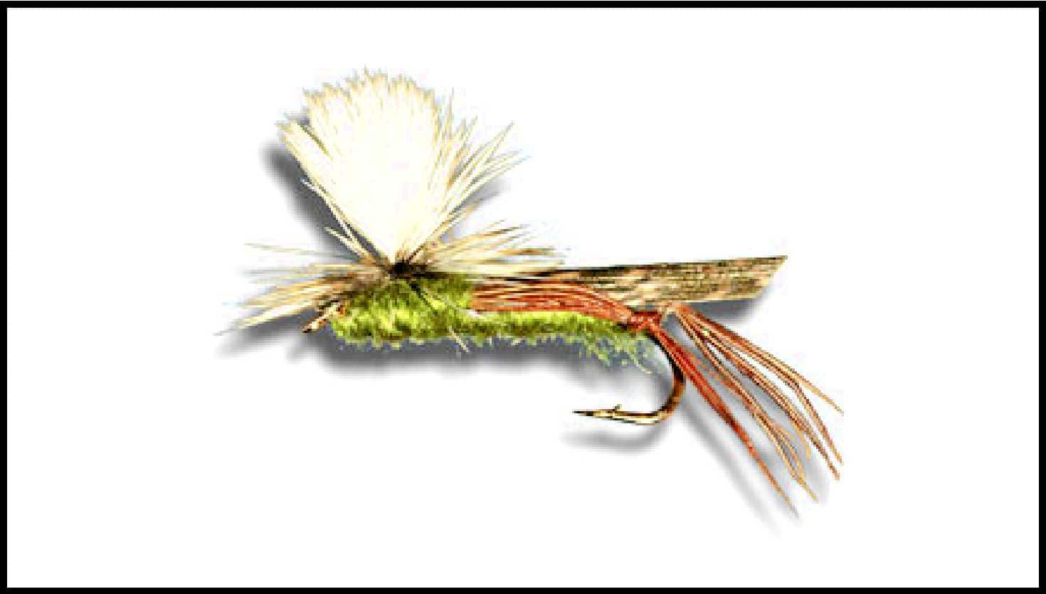 Fly Fishing with Hoppers (Tips, Tricks and a Quick Tie) - Guide Recommended