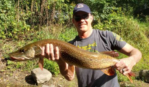 11 Best Flies for Catching Pike (Plus a Setup Guide) - Guide Recommended