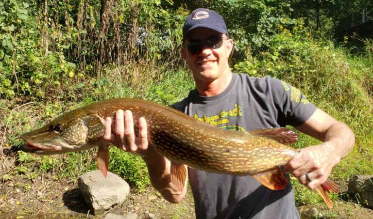 11 Best Flies for Catching Pike (Plus a Setup Guide) - Guide Recommended