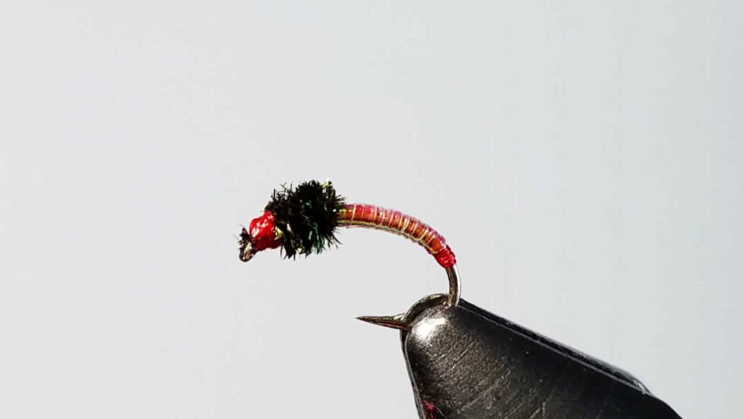 15 Must Have Midge Patterns That Catch Fish - Guide Recommended