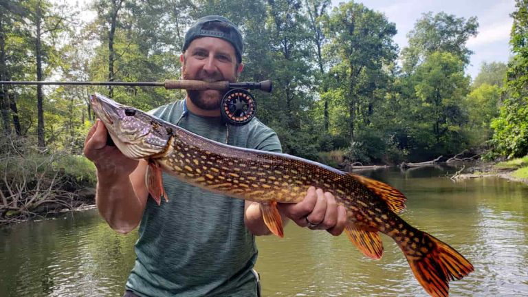 11 Best Flies for Catching Pike (Plus a Setup Guide) - Guide Recommended