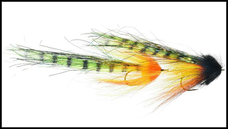 11 Best Flies for Catching Pike (Plus a Setup Guide) - Guide Recommended