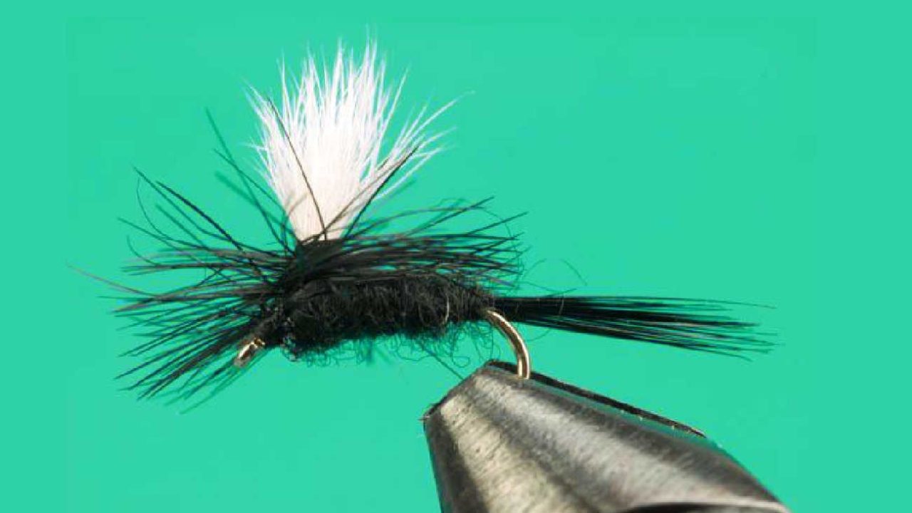 15 Must Have Midge Patterns That Catch Fish - Guide Recommended