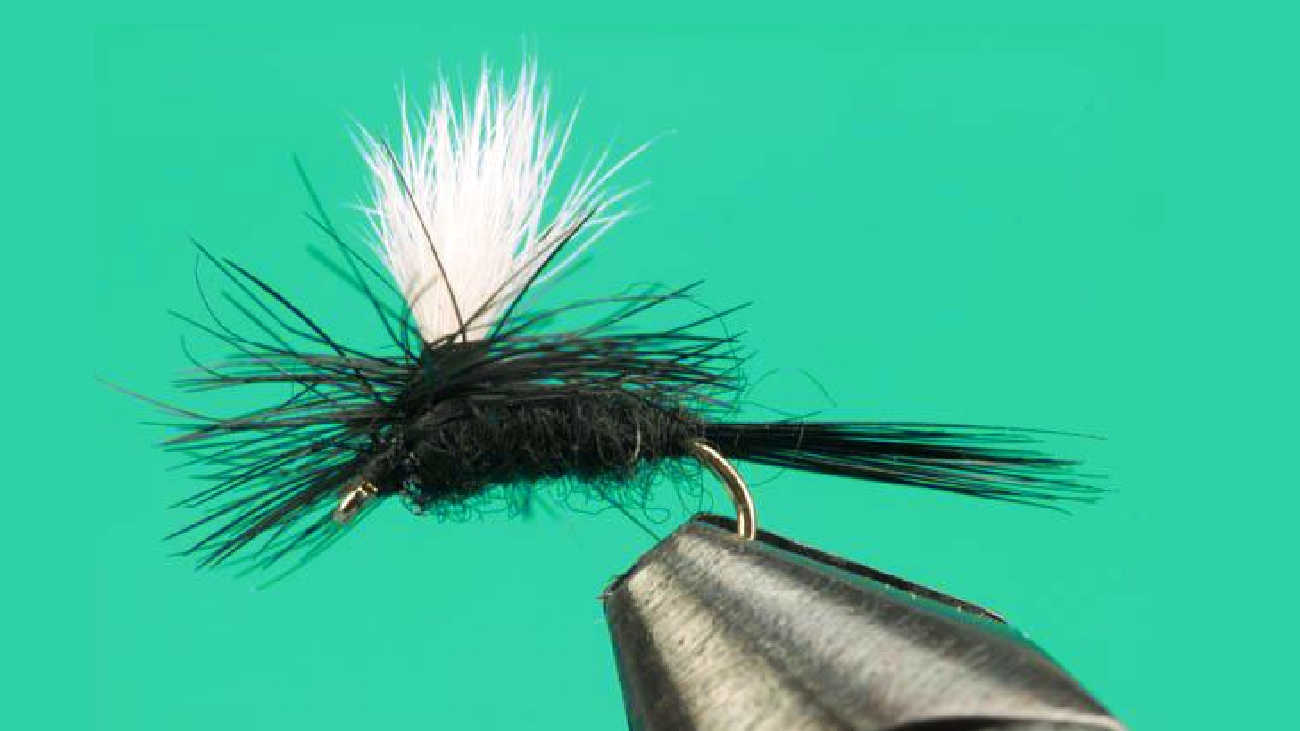 15 Must Have Midge Patterns That Catch Fish - Guide Recommended