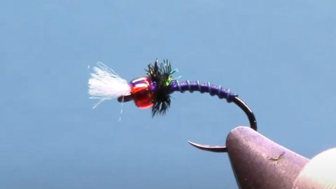 15 Must Have Midge Patterns That Catch Fish - Guide Recommended