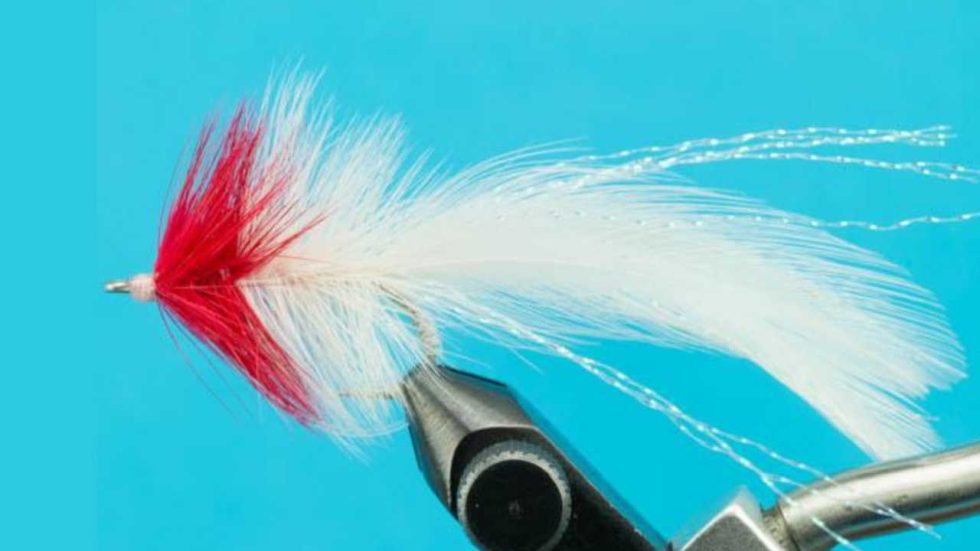 11 Best Flies for Catching Pike (Plus a Setup Guide) - Guide Recommended