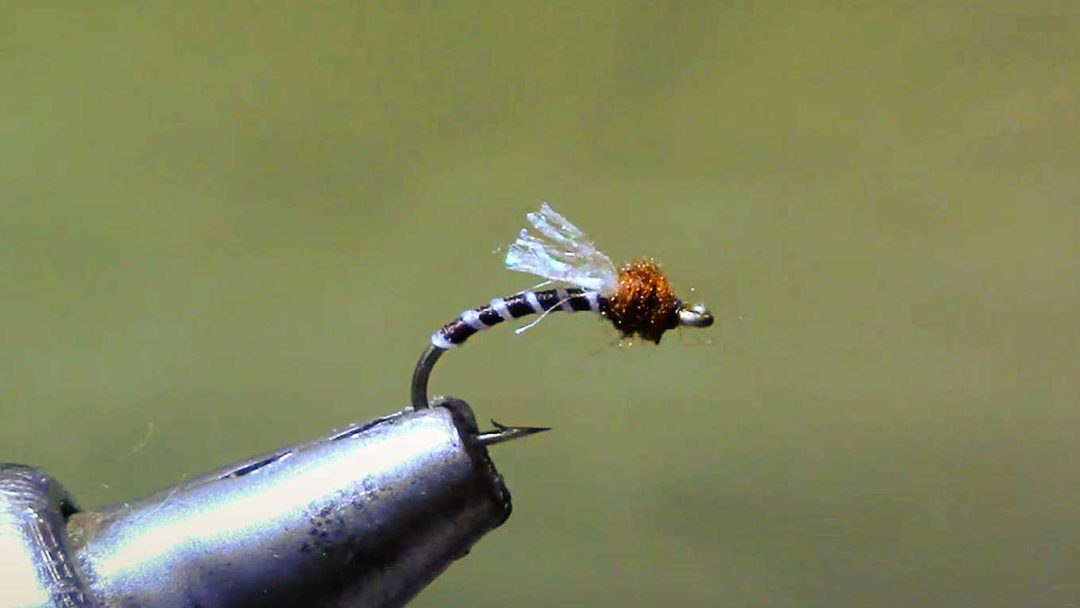 15 Must Have Midge Patterns That Catch Fish - Guide Recommended