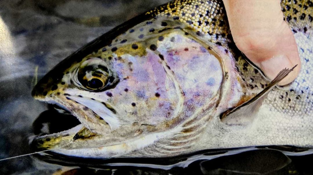 11 Best Places to Fly Fish in Ohio - Guide Recommended