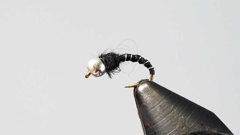 15 Must Have Midge Patterns That Catch Fish - Guide Recommended