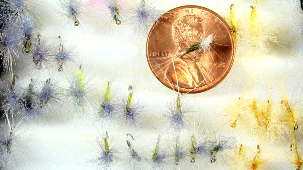 Expert Picks: 21 Best Mayfly Patterns for Trout - Guide Recommended