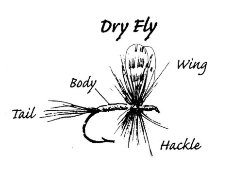 Selecting Fly Tying Materials (Get Exactly What You Need) - Guide ...