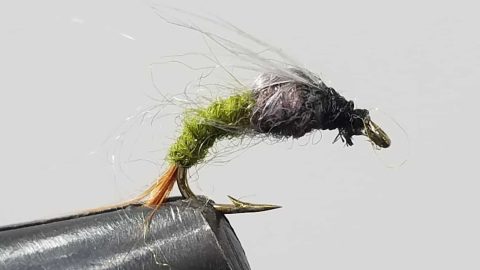 The 11 Best Emerger Fly Patterns for Successful Trout Fishing - Guide ...