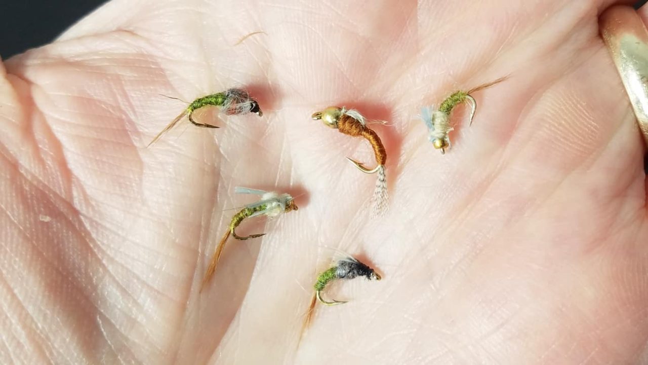 Complete Guide to Fly Fishing with the Beaded Caddis Nymph (Plus Tying ...