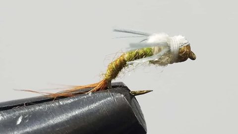 Expert Picks: 21 Best Mayfly Patterns for Trout - Guide Recommended