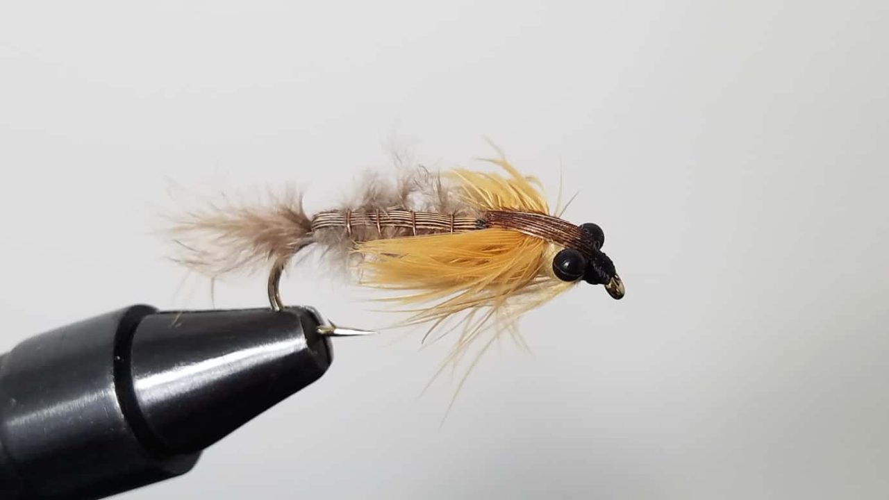 Expert Picks: 21 Best Mayfly Patterns for Trout - Guide Recommended