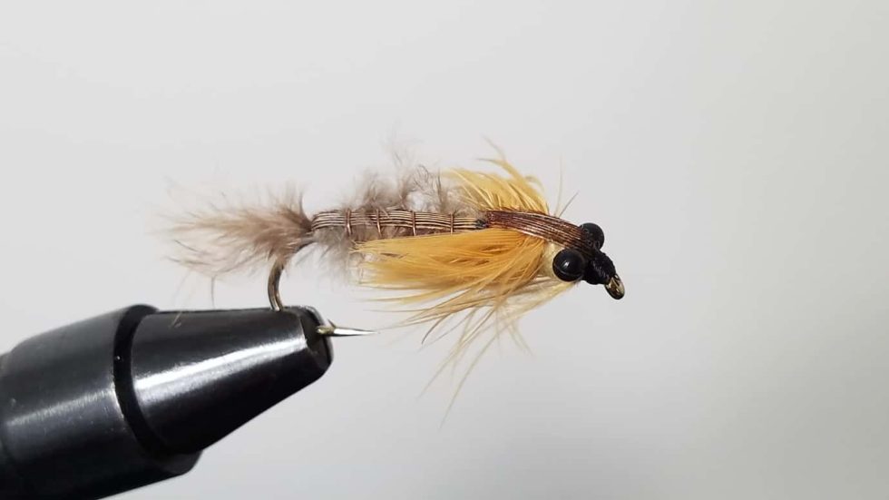 Expert Picks: 21 Best Mayfly Patterns for Trout - Guide Recommended