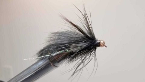 The Best Leech Patterns For Trout And Great Fishing - Guide Recommended