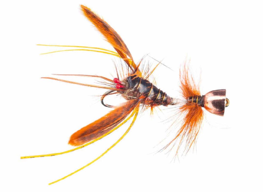 11 Best Flies for Carp (Catch, Rig and Tie) - Guide Recommended