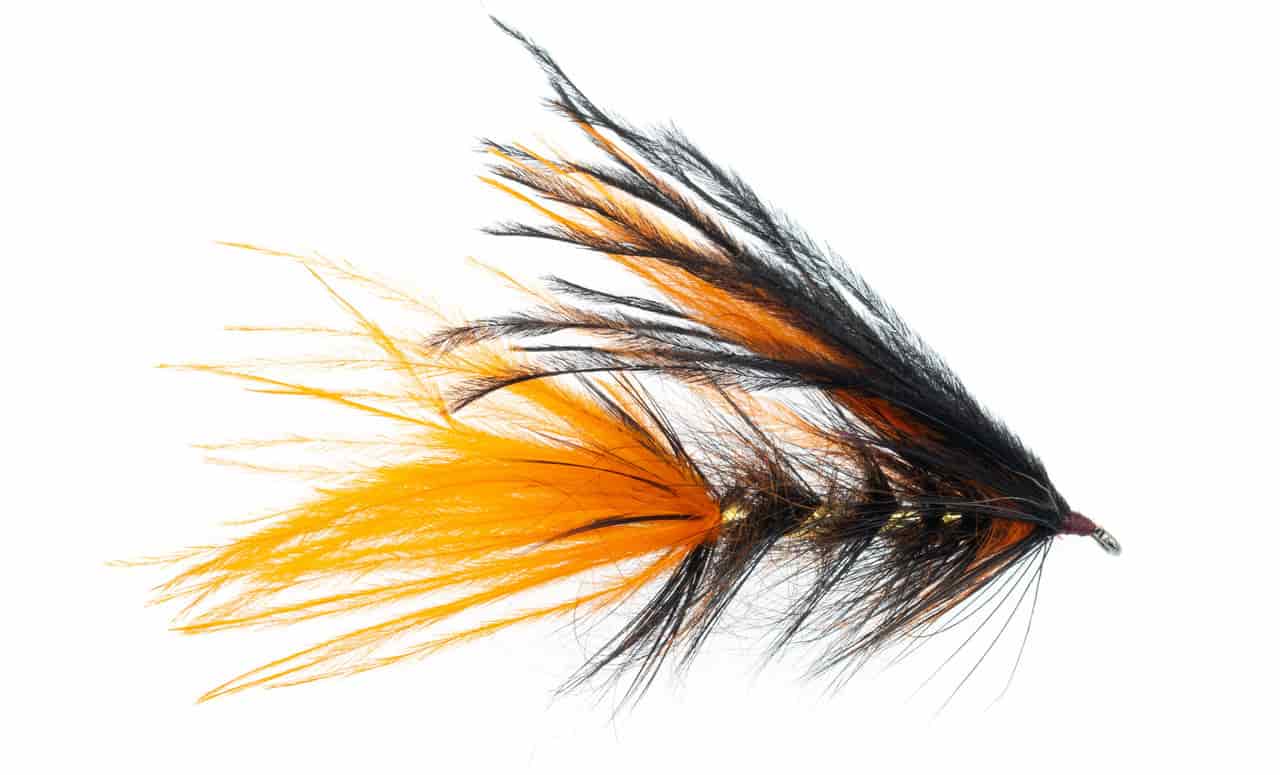 11 Best Flies for Spotted Seatrout (Plus Fishing Tips) - Guide Recommended
