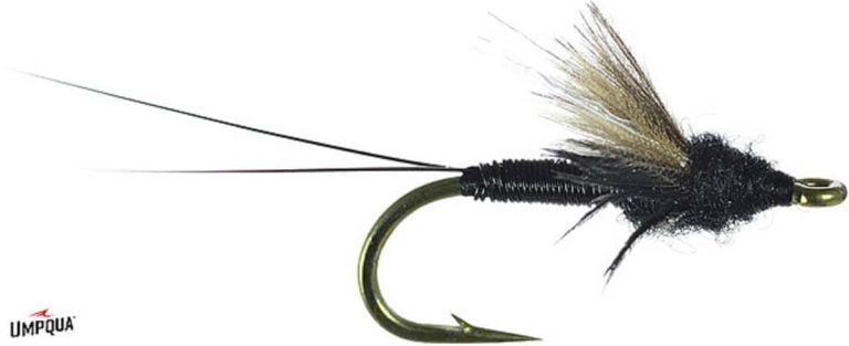 Everything You Need to Know About Baetis Nymph - Guide Recommended
