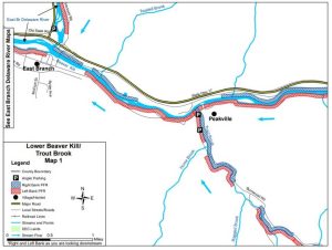Where to Fly Fish on the Beaverkill River (with MAPS and More) - Guide ...