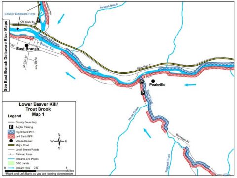 Where to Fly Fish on the Beaverkill River (with MAPS and More) - Guide ...
