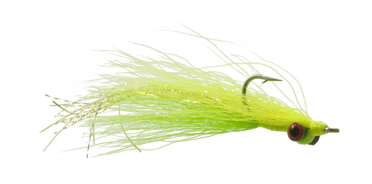 What Is the Biggest Striped Bass Ever Caught? (Find Your Record ...