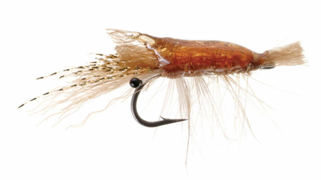 11 Best Flies for Snook (Plus Tips Catching More) - Guide Recommended