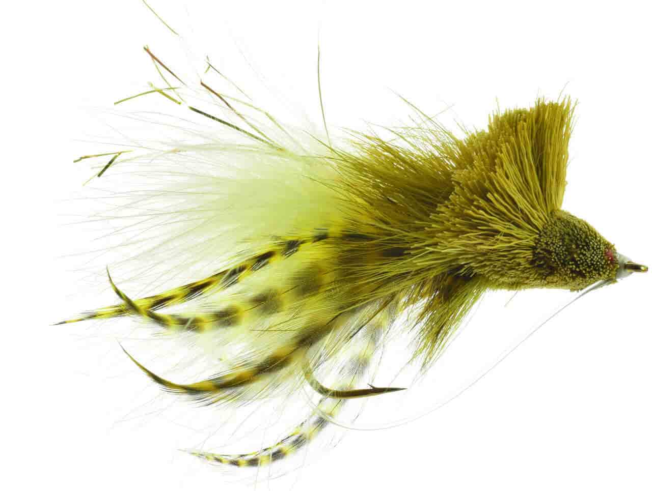 11 Best Flies for Snook (Plus Tips Catching More) - Guide Recommended