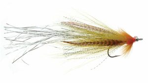 11 Best Flies for Snook (Plus Tips Catching More) - Guide Recommended