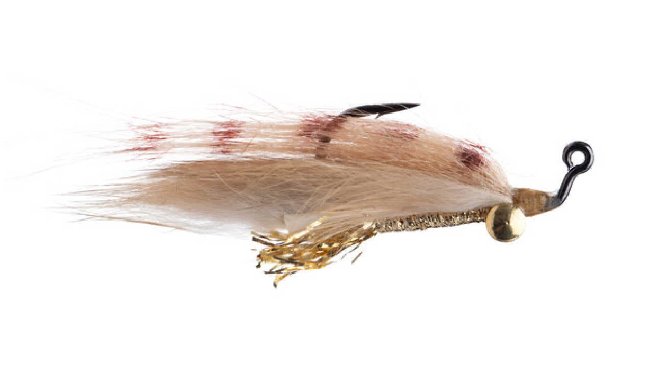 What Is the Biggest Redfish (Red Drum) Ever Caught? (With Maps and Tips ...