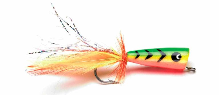 What Is the Biggest Redfish (Red Drum) Ever Caught? (With Maps and Tips ...