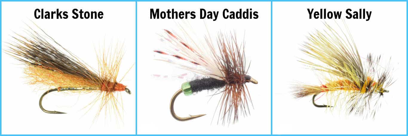 Best Places to Fly Fishing on the Big Hole River Montana (Maps, Flies ...