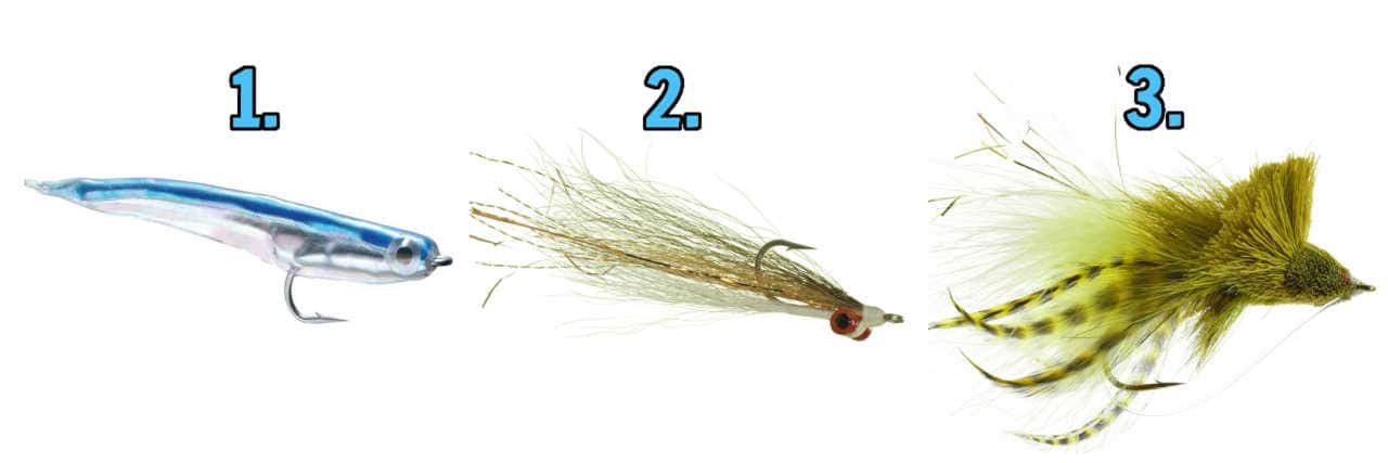 What Is the Biggest Snook Ever Caught (With Maps and Tips) - Guide ...