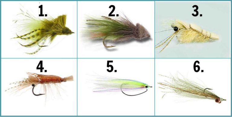 How to Fly Fish for Snook (Setup, Flies, and More) - Guide Recommended