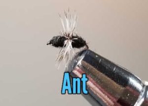 Colorado Hatch Chart (Flies that Work) - Guide Recommended