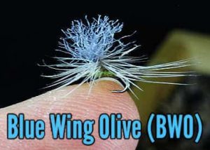 Colorado Hatch Chart (Flies that Work) - Guide Recommended