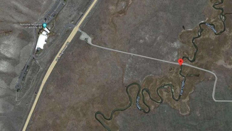 Where to Fish on Flat Creek WY (Maps, Flies and More) - Guide Recommended