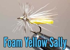 Colorado Hatch Chart (Flies that Work) - Guide Recommended